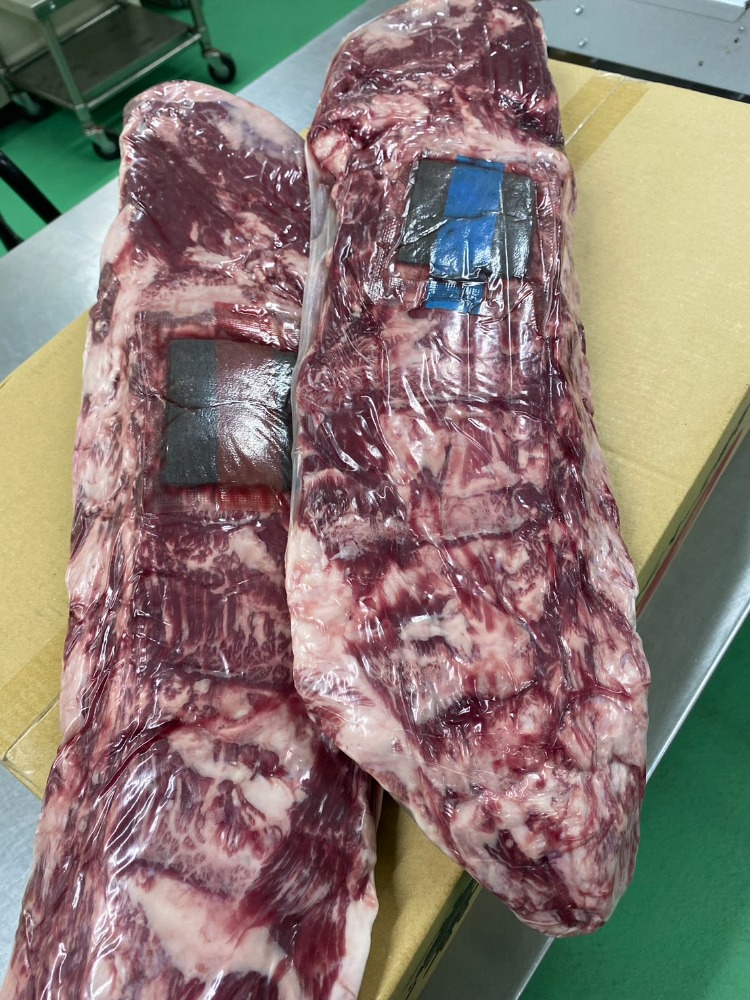 雌・A4BMS5鳥取交雑牛 ヒレ 肉質良好 残り1本！