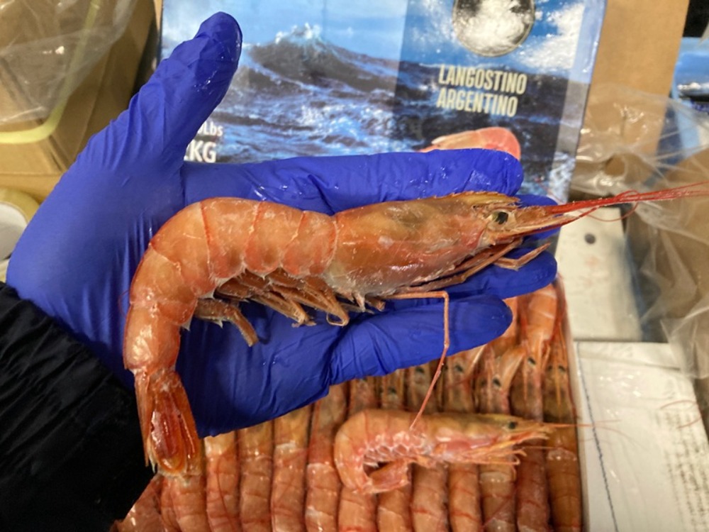 【刺身用】赤えび（アカエビ）40/60 アルゼンチン産 L2 2kg